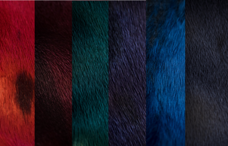 Seal Fur & Leather | Unique Natural | Canadian Seal Product