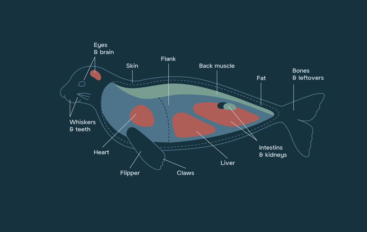 Seal Meat Cuts | Seal Meat | Canadian Seal Product