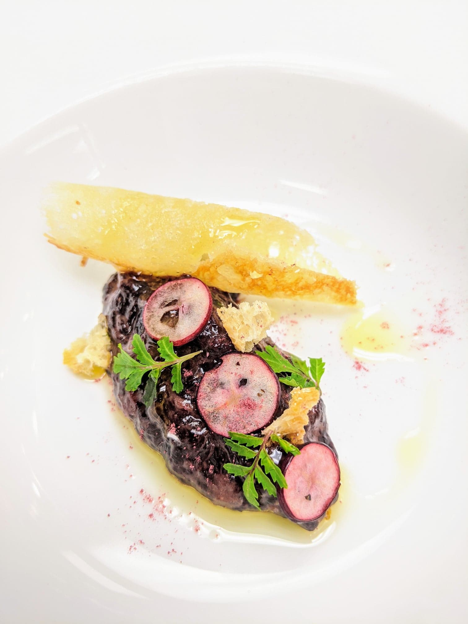 Seal Meat: An Experience in Fine Dining | Canadian Seal Product